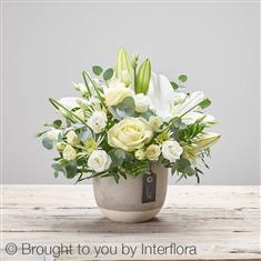 New Fashion Flowers Florist Eltham 020 8850 4156