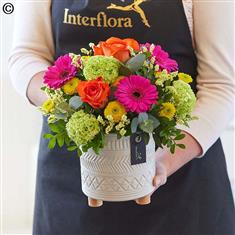 New Fashion Flowers Florist Eltham 020 8850 4156