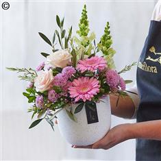 New Fashion Flowers Florist Eltham 020 8850 4156
