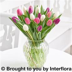 New Fashion Flowers Florist Eltham 020 8850 4156